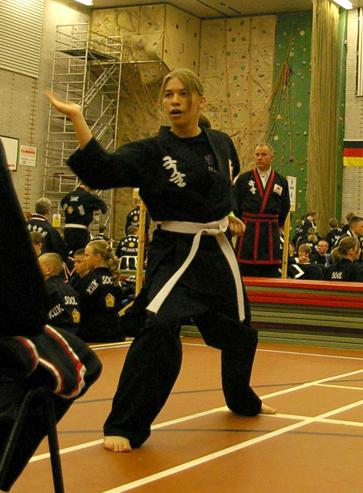 Aviano Kuk Sool Won competes in championship > Aviano Air Base > Display