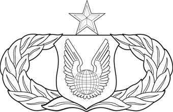 Operations Support Badge (Senior)