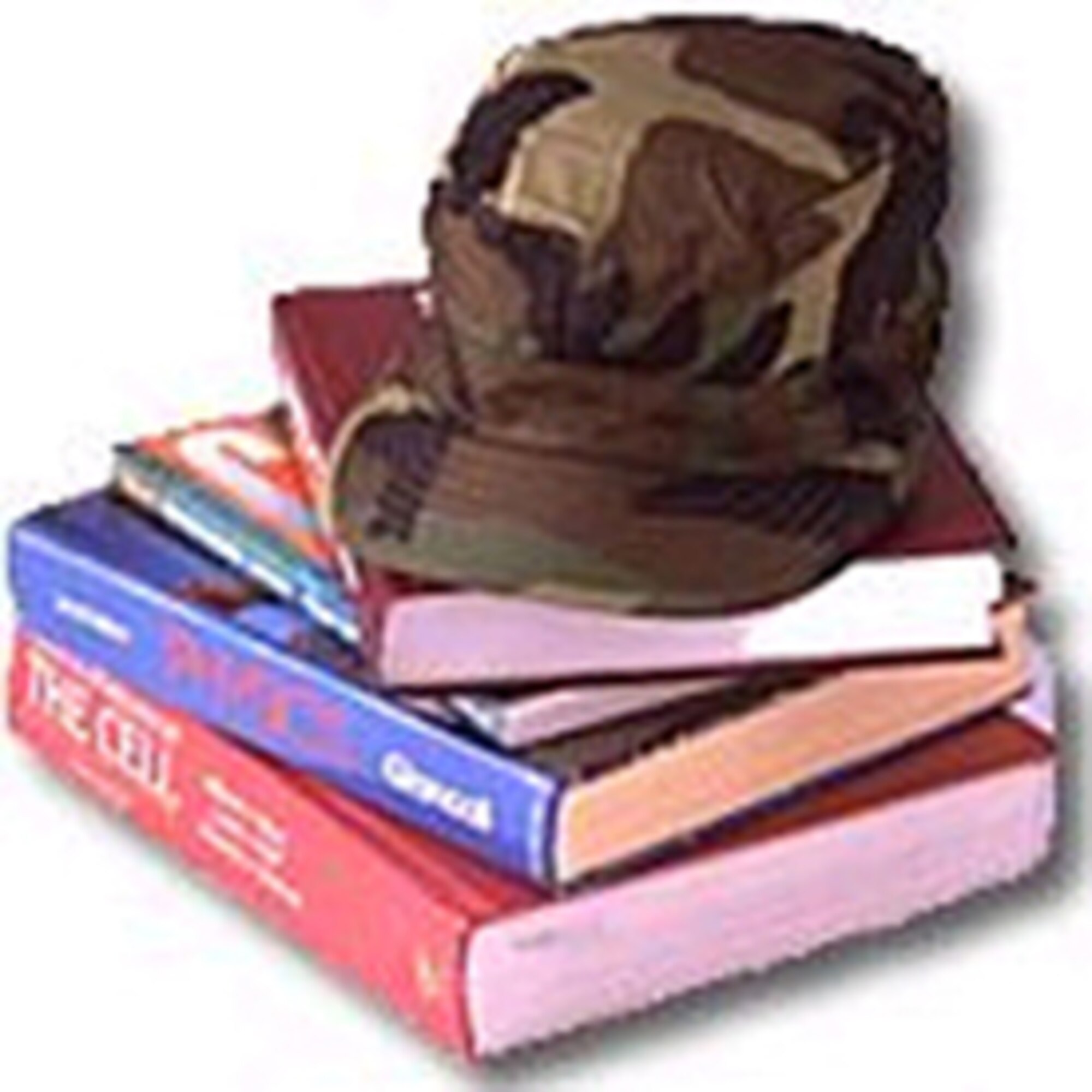 Official Explains Proposed Post 9 11 GI Bill Transferability Rules