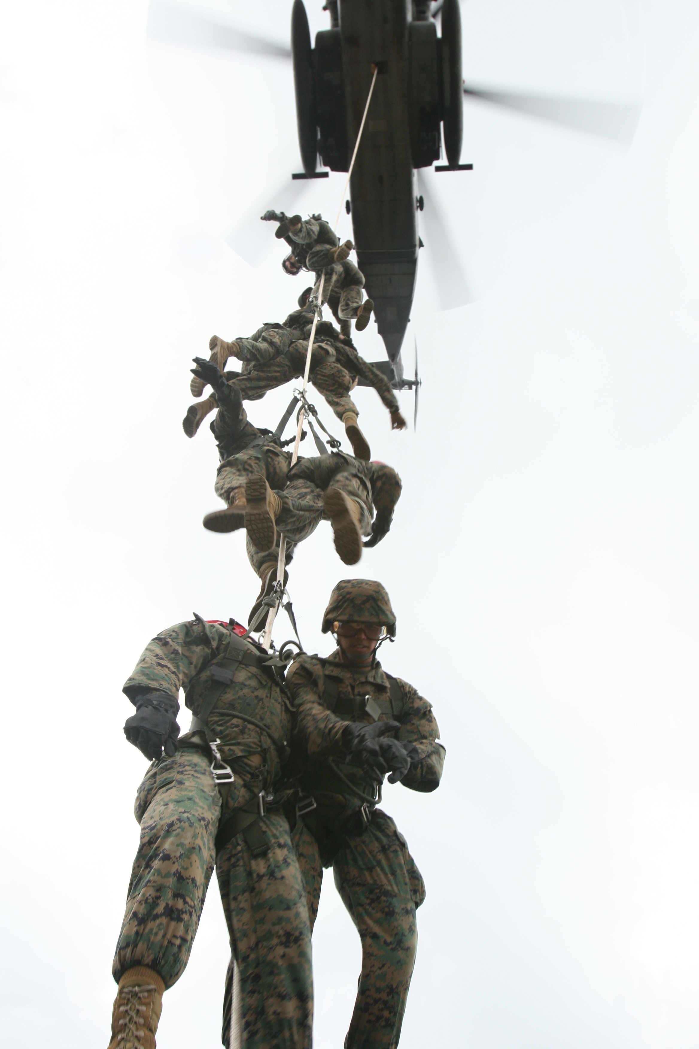 Reconnaissance Company recertifies trainers > Marine Corps Base Hawaii ...