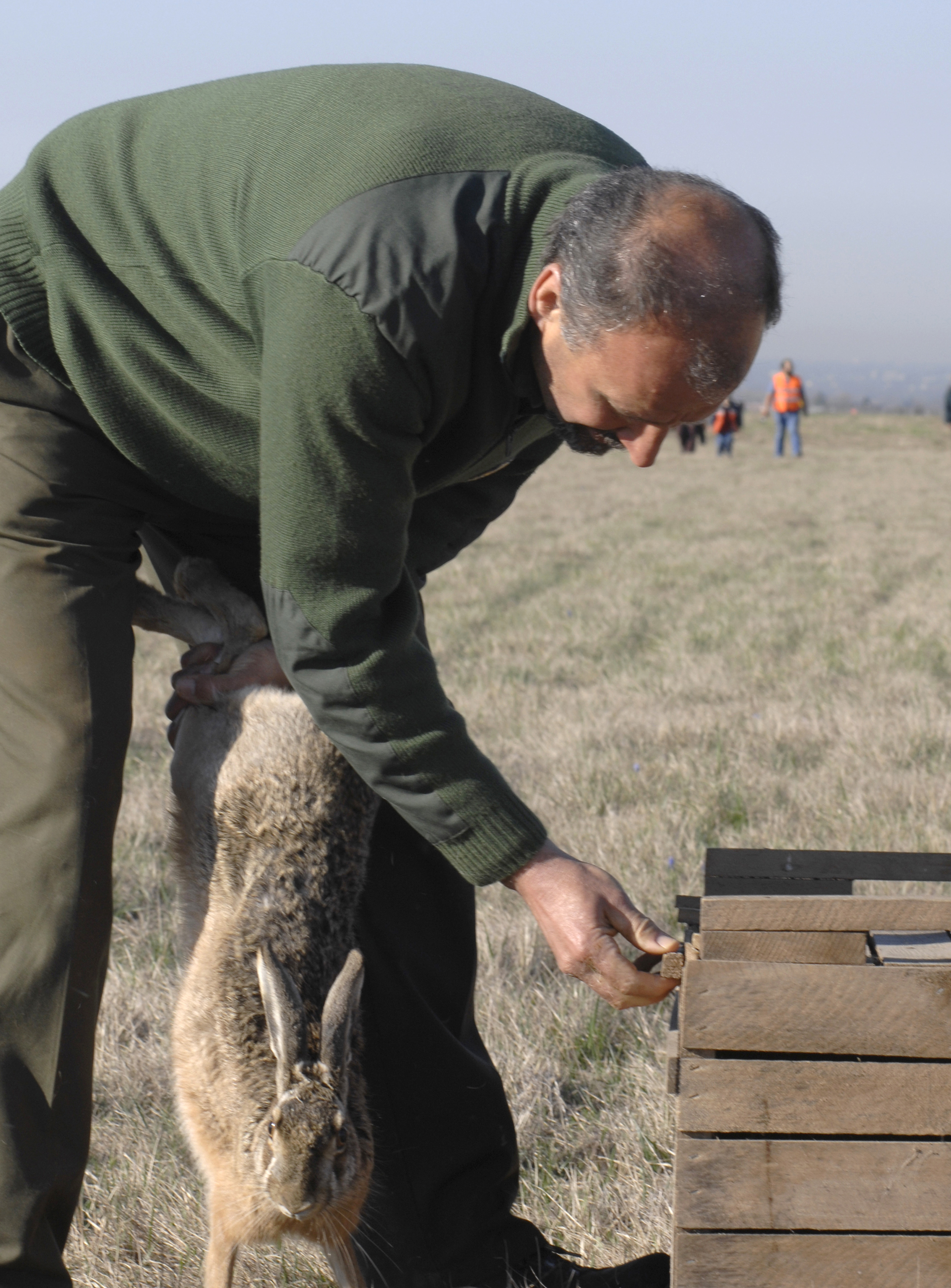 Hare raising: Wing rounds up rabbits for safety > Aviano Air Base > Display