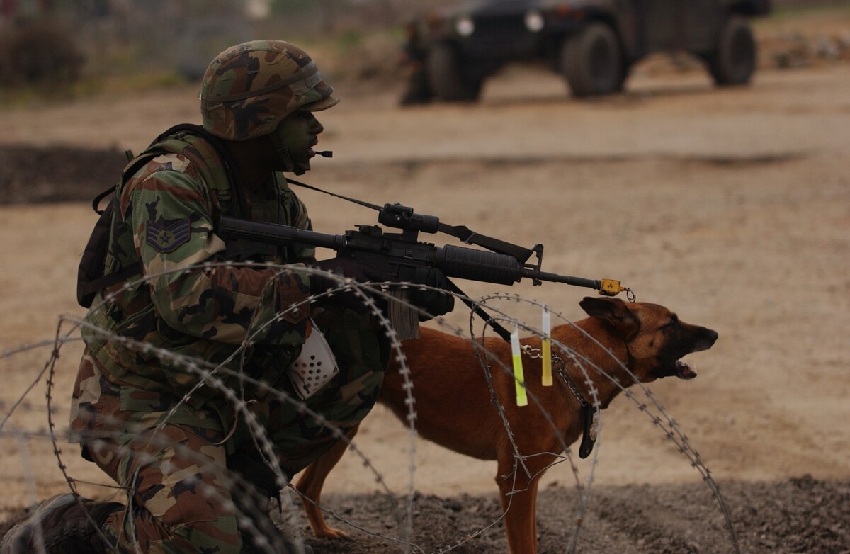 Commando Warrior: Best warriors in PACAF > Osan Air Base > Article Display