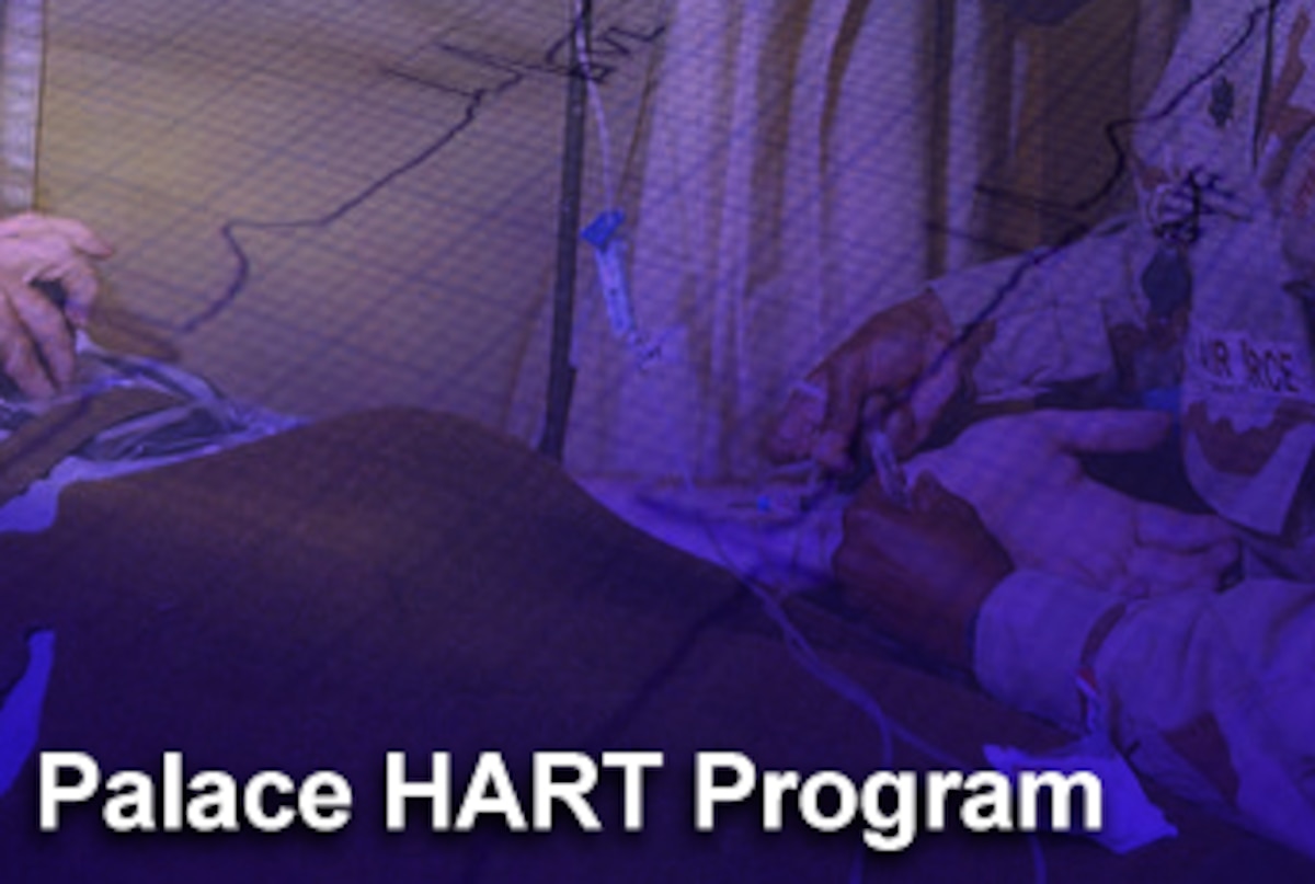 Air Force has HART for its war wounded > Air Force > Article Display