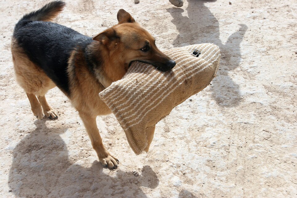Combat Outpost gets 'ice cream truck' > United States Marine Corps ...