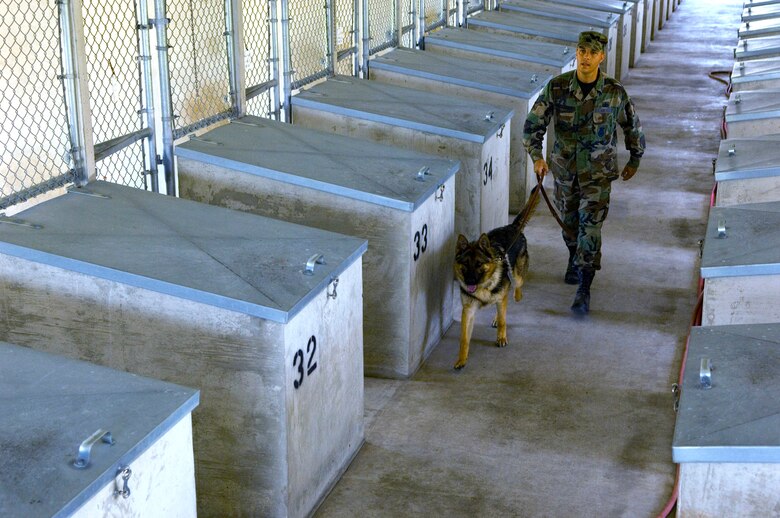 Barking orders the norm at DOD's Canine Boot Camp > U.S. Air Force ...
