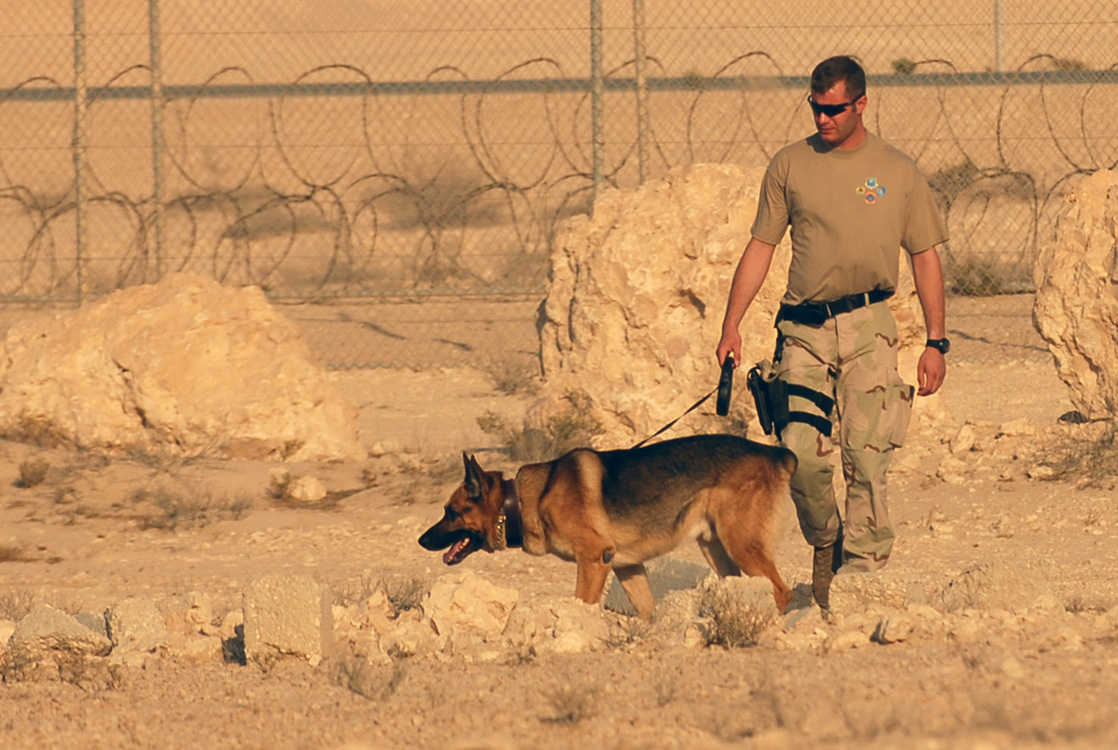 K9s in training > U.S. Air Forces Central > Article Display