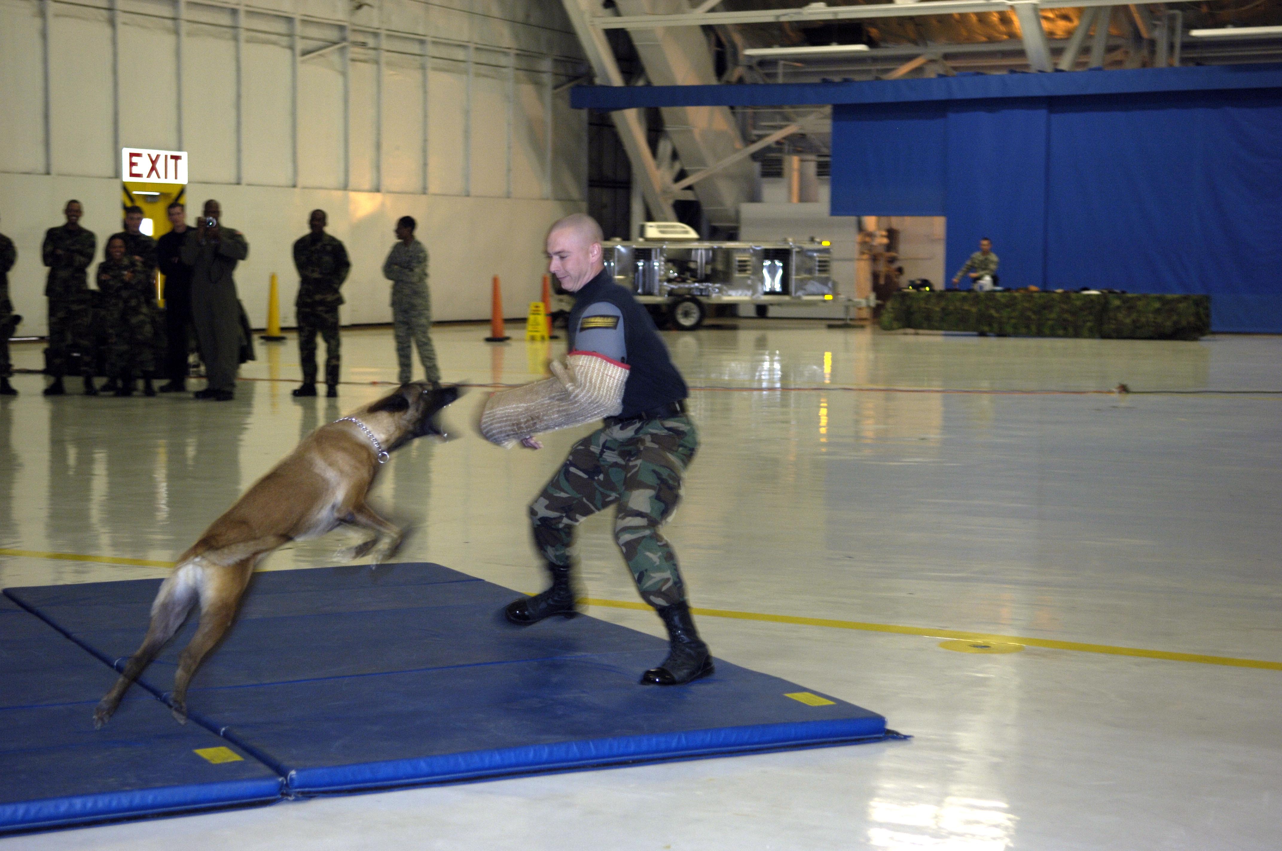 316 SFS receives visit from Vietnam veterans > Joint Base Andrews ...