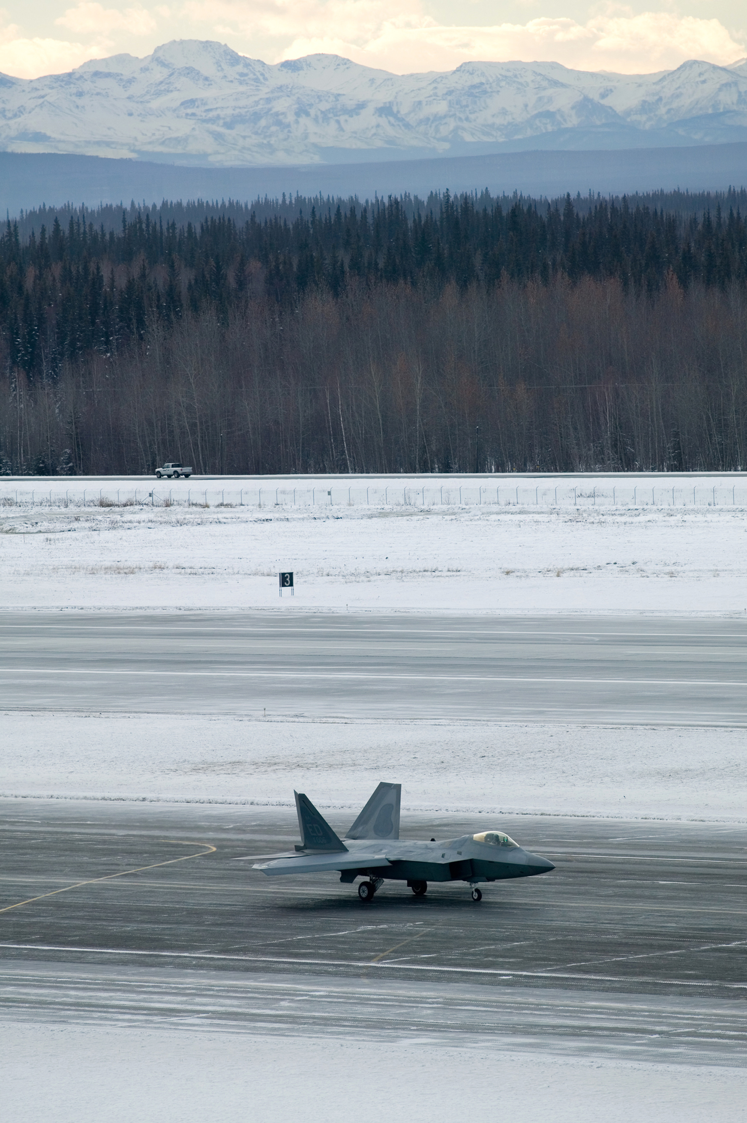 Raptor survives three-week ice age > Pacific Air Forces > Article Display