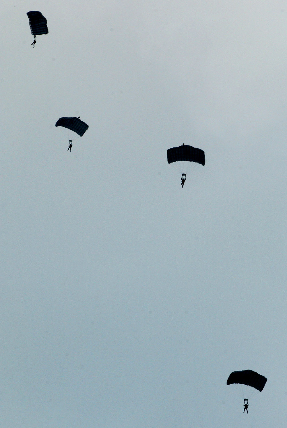 Proficiency paradrop > Air Force > Article Display