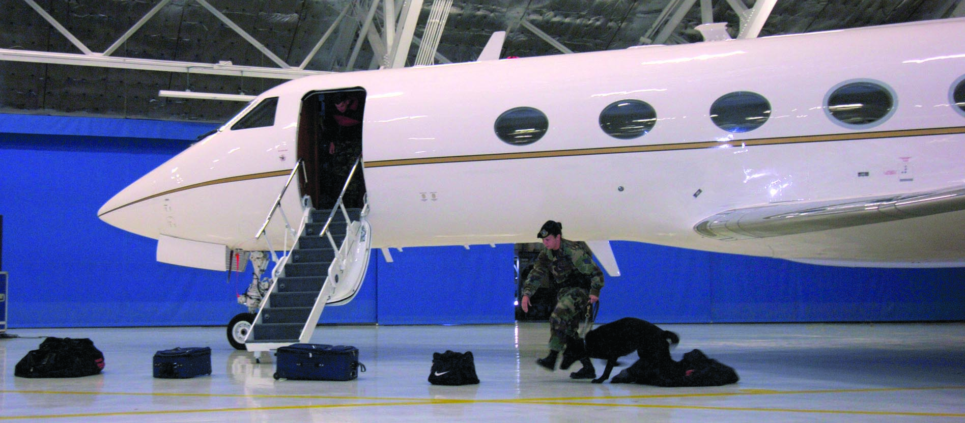 316 SFS Ravens demonstrate a show of force > Joint Base Andrews > News