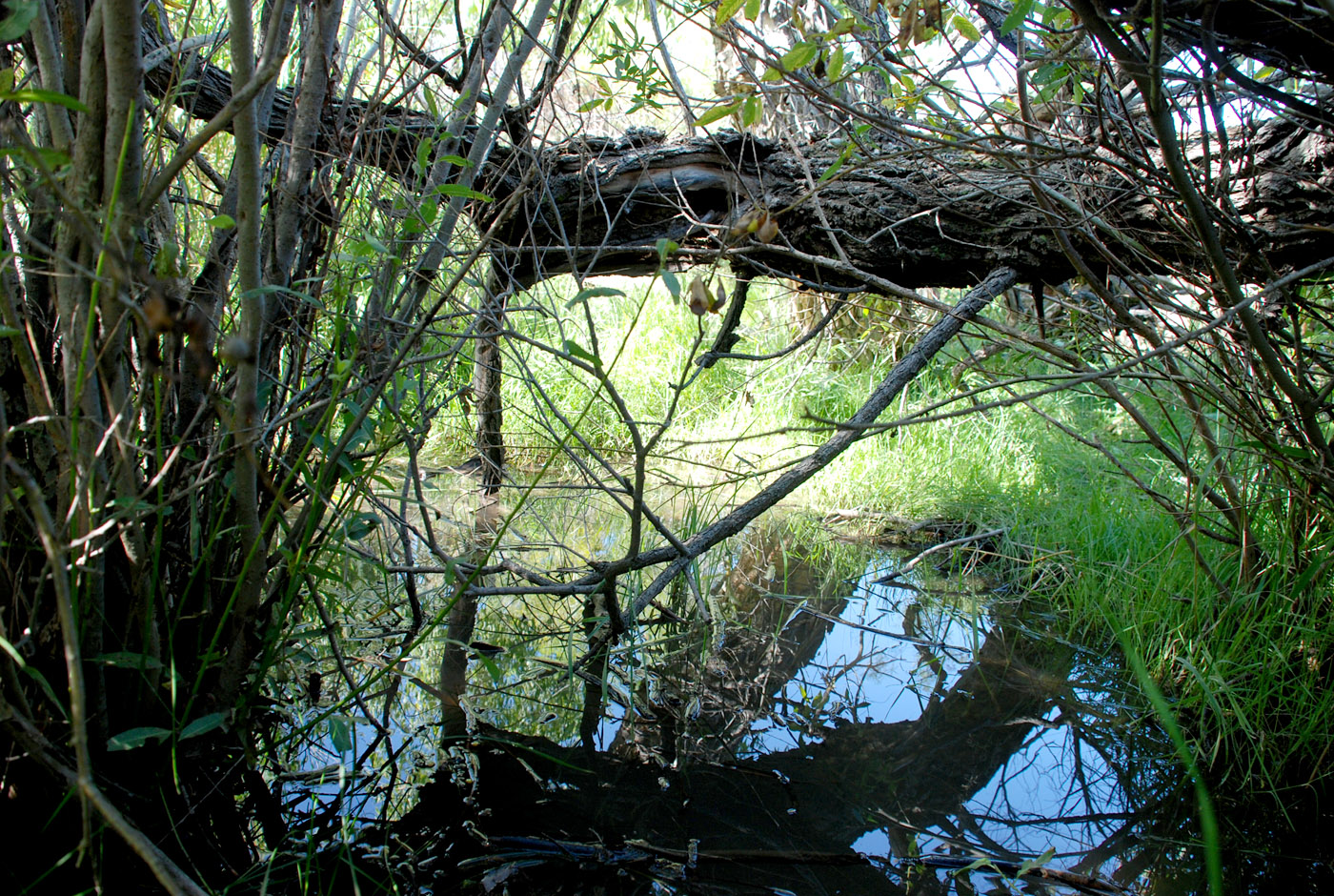 Nature trail > F.E. Warren Air Force Base > News