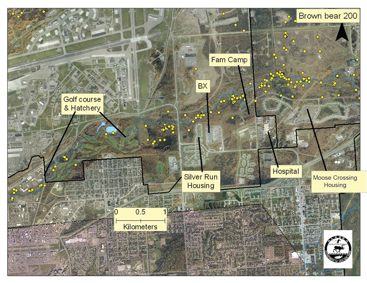 Study reveals activities of local bear population > Joint Base ...