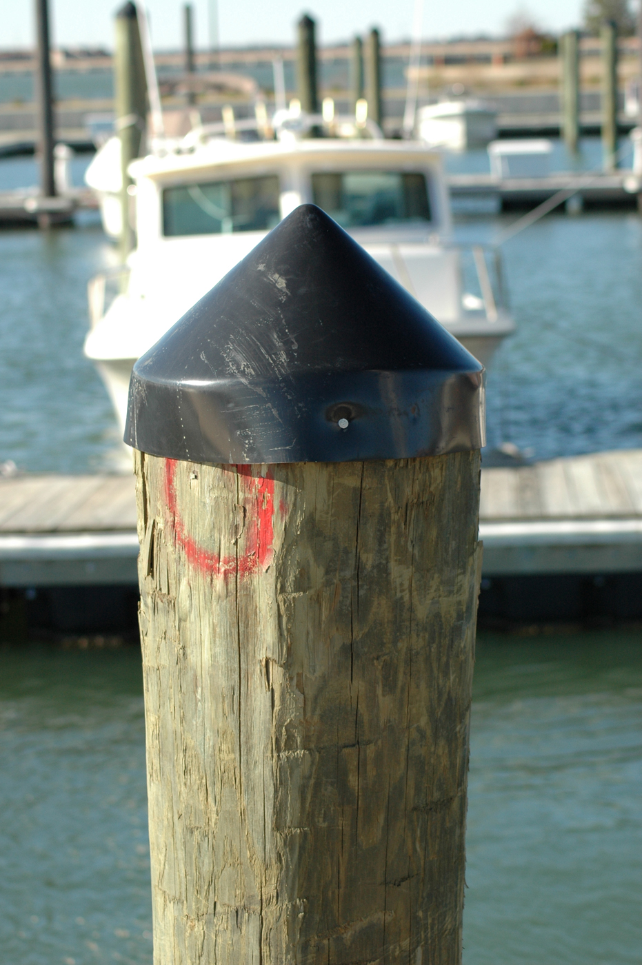 KILLER CLAMS? - WHAT'S MAKING THESE SHELL FISH A THREAT TO THE AIR ...