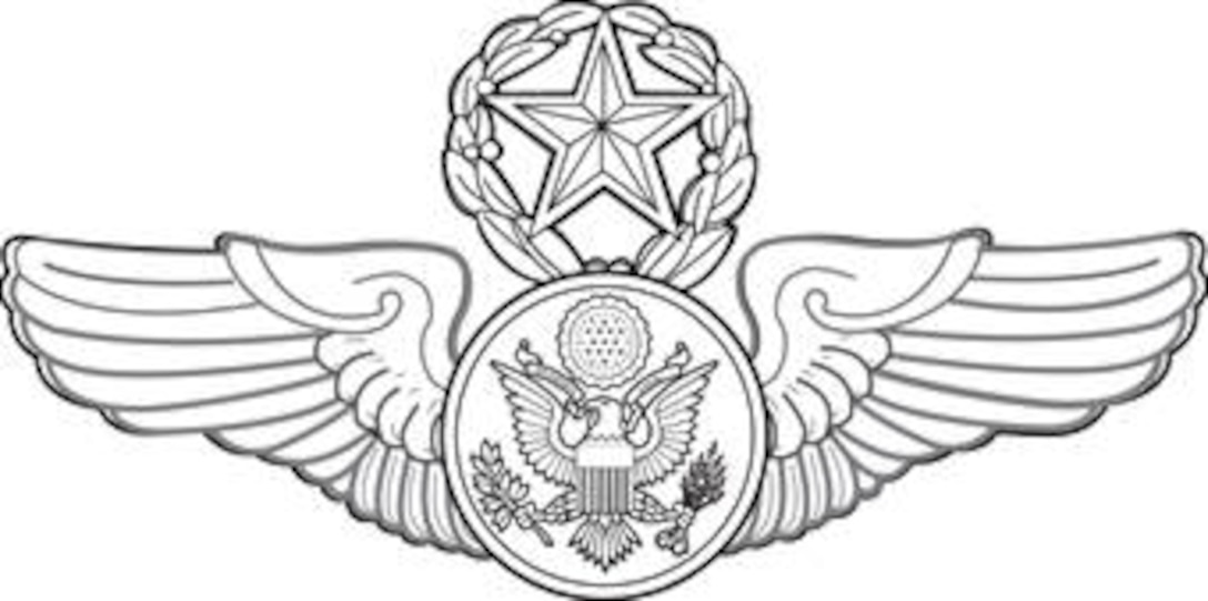 Chief Enlisted Aircrew badge