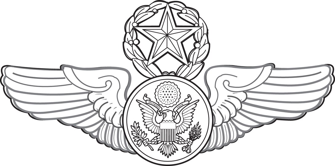 Chief Enlisted Aircrew badge