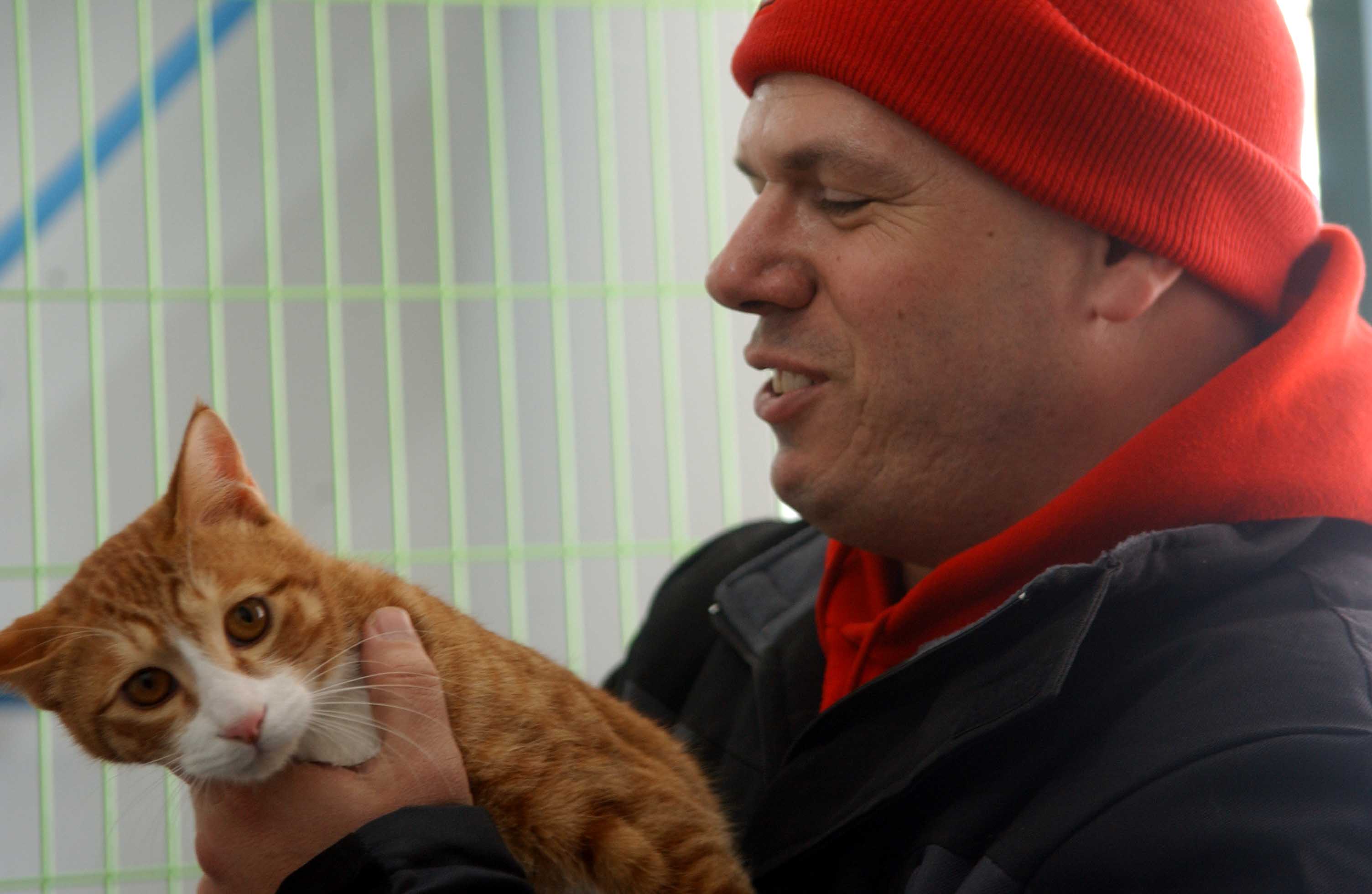 Home is where the cat is: Osan Airmen visit KAPS, adopt pets > Osan Air ...