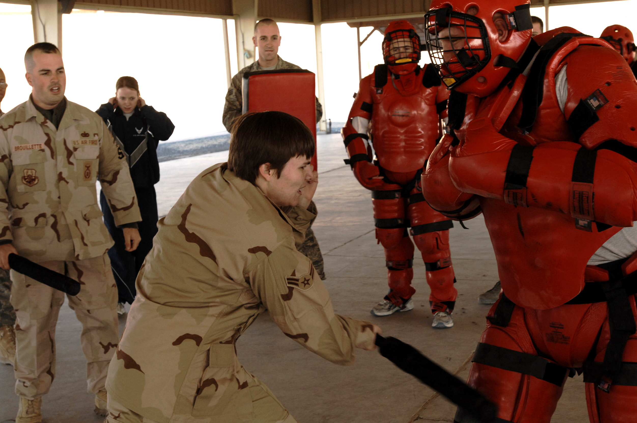 The non-lethal force be with you > Air Force > Article Display