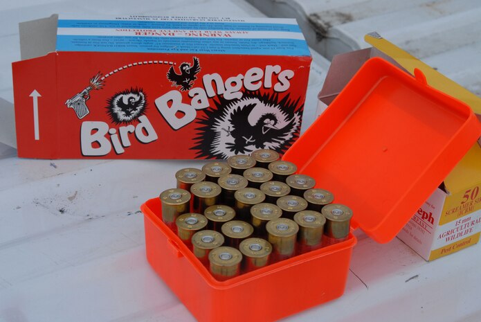 Dove relocation program