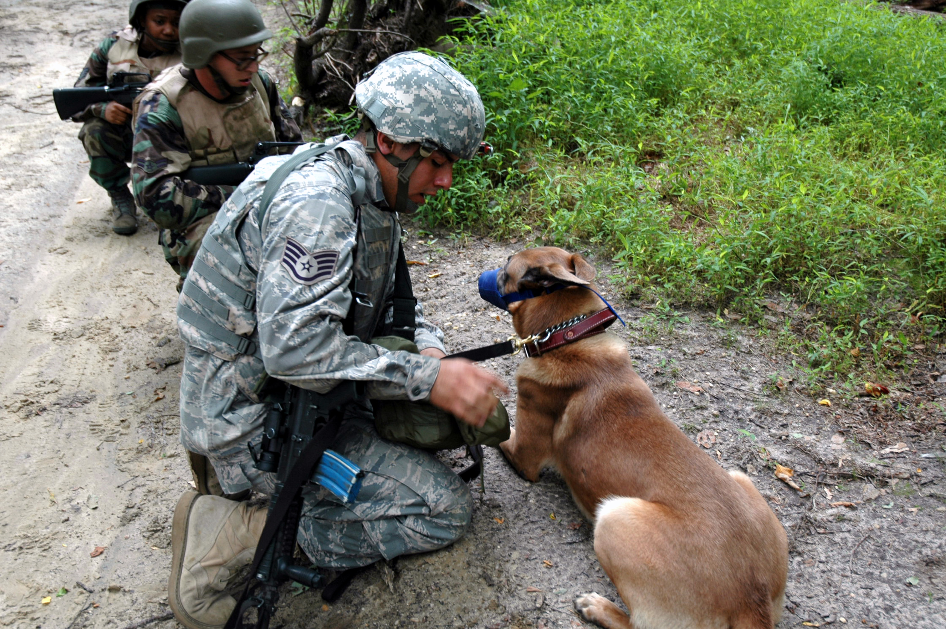 U.S. Air Force Expeditionary Center: K-9 teams conquer combat first aid ...