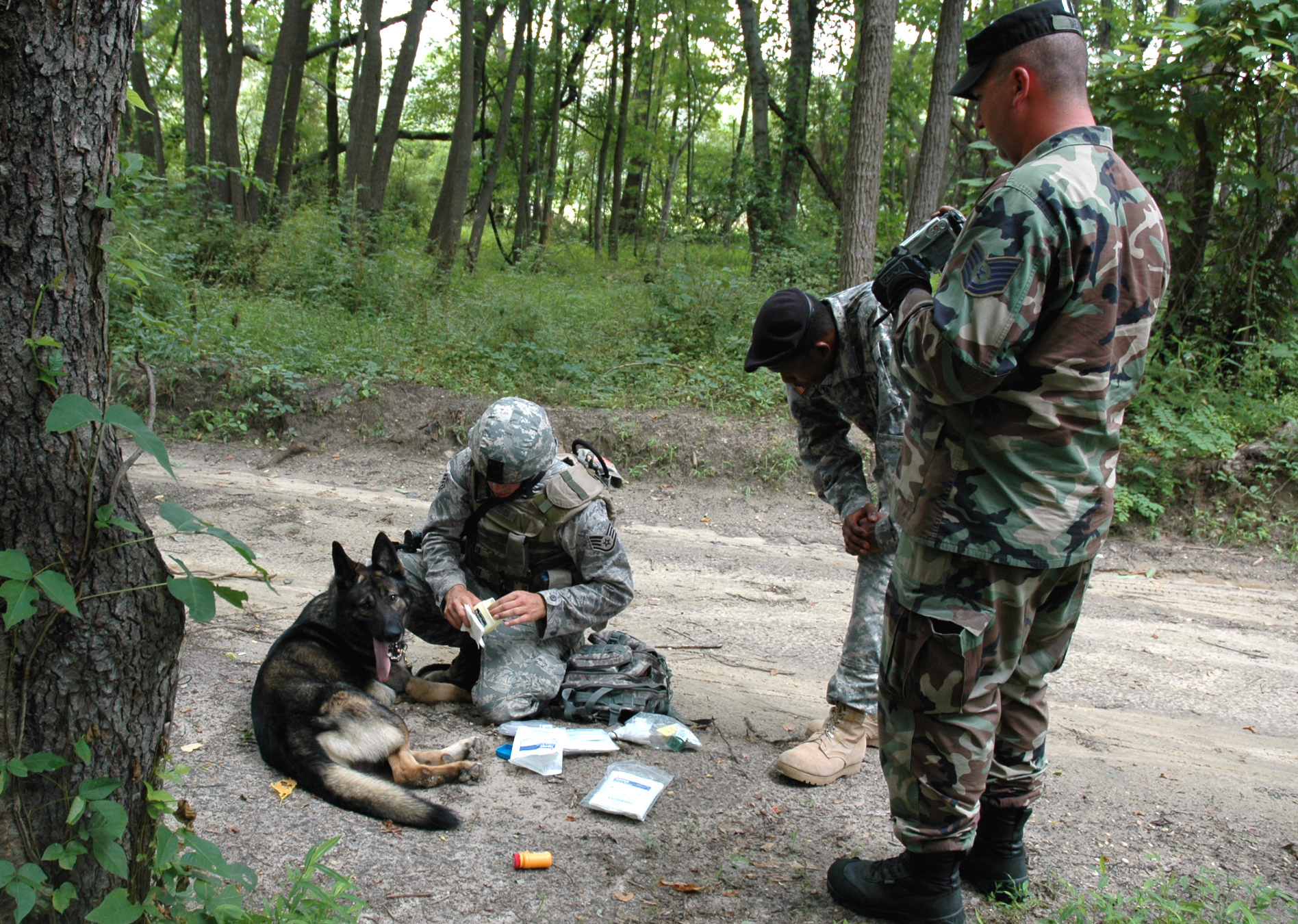 U.S. Air Force Expeditionary Center: K-9 teams conquer combat first aid ...