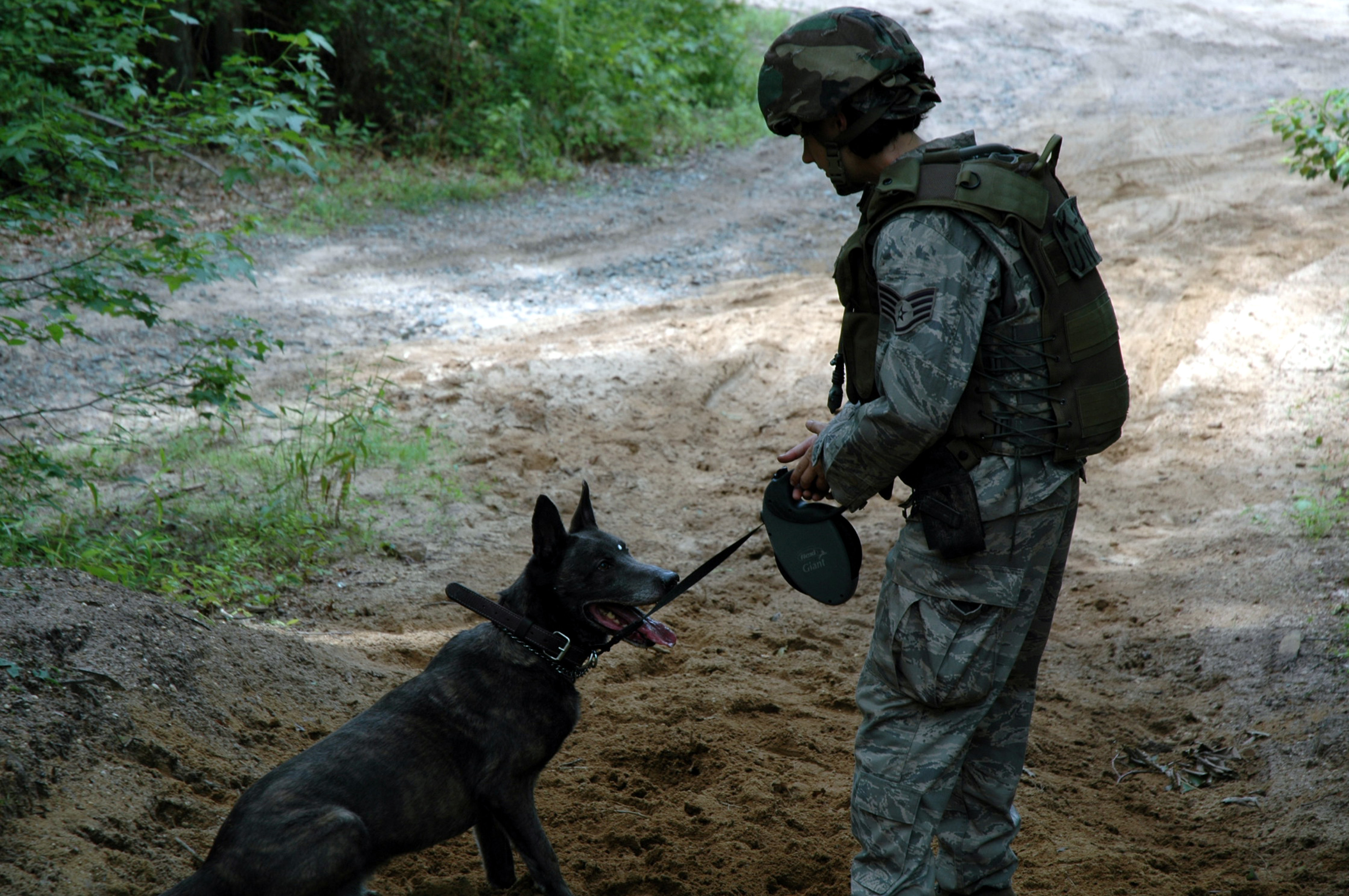 U.S. Air Force Expeditionary Center: K-9 students practice detection ...