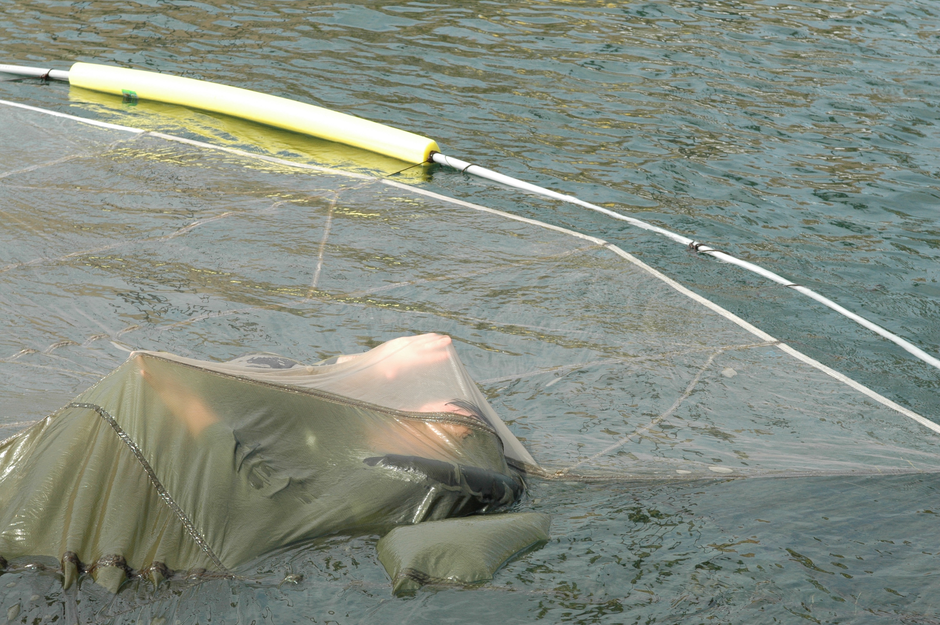 Water survival training, a big splash > 162nd Wing > News