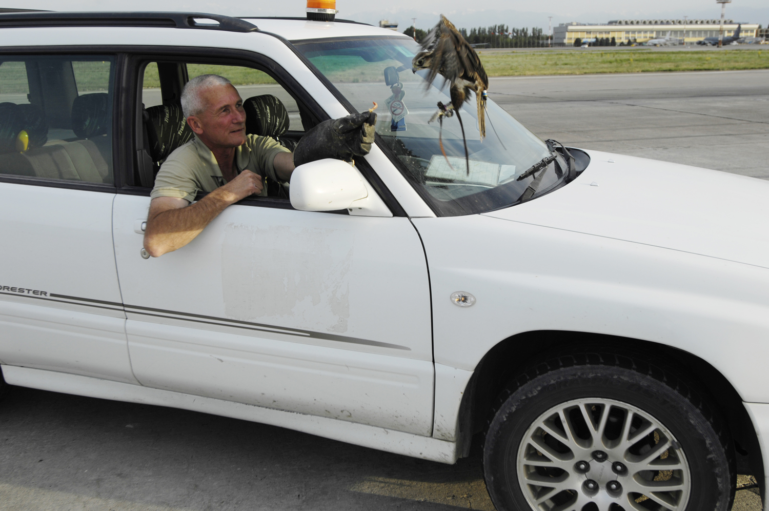 Manas BASH program takes to wing > U.S. Air Forces Central > News