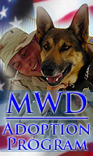 341st TRS - MWD web ad