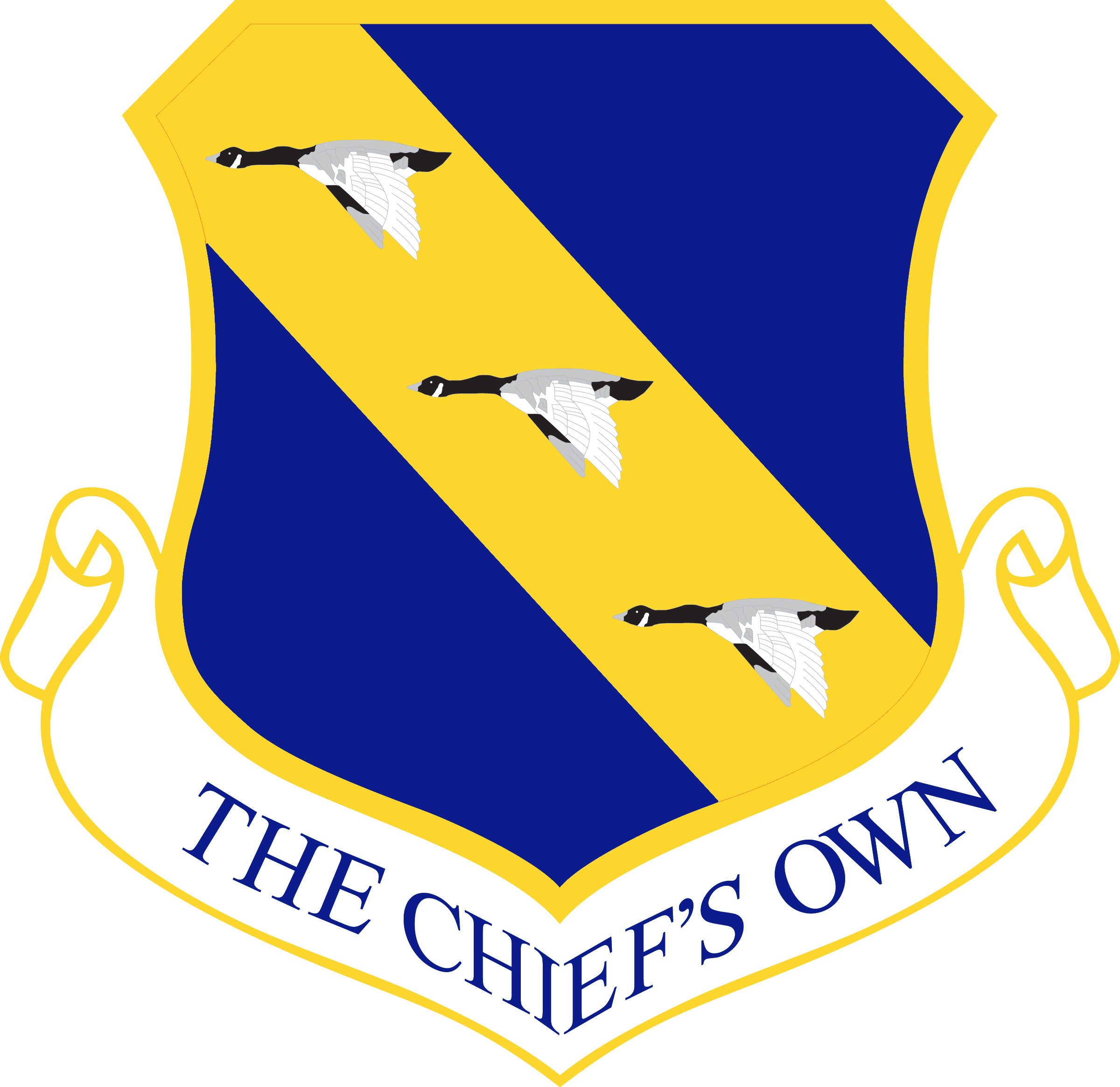 11 Wing Shield (Color)