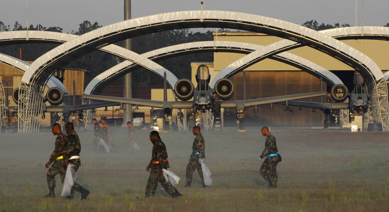 Flying Tigers walk line for FOD > Moody Air Force Base > Article Display