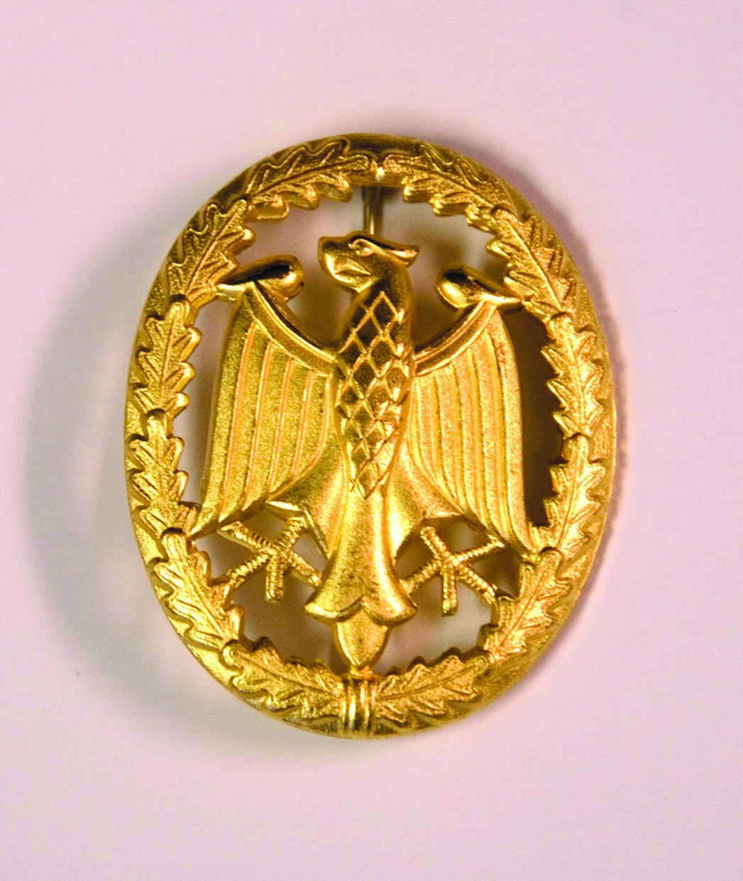 Ravens receive German badge after 25K road march > Joint Base Andrews ...