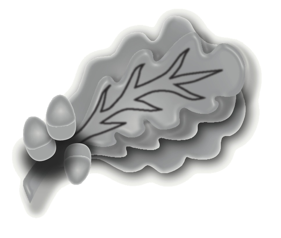 Silver Oak Leaf