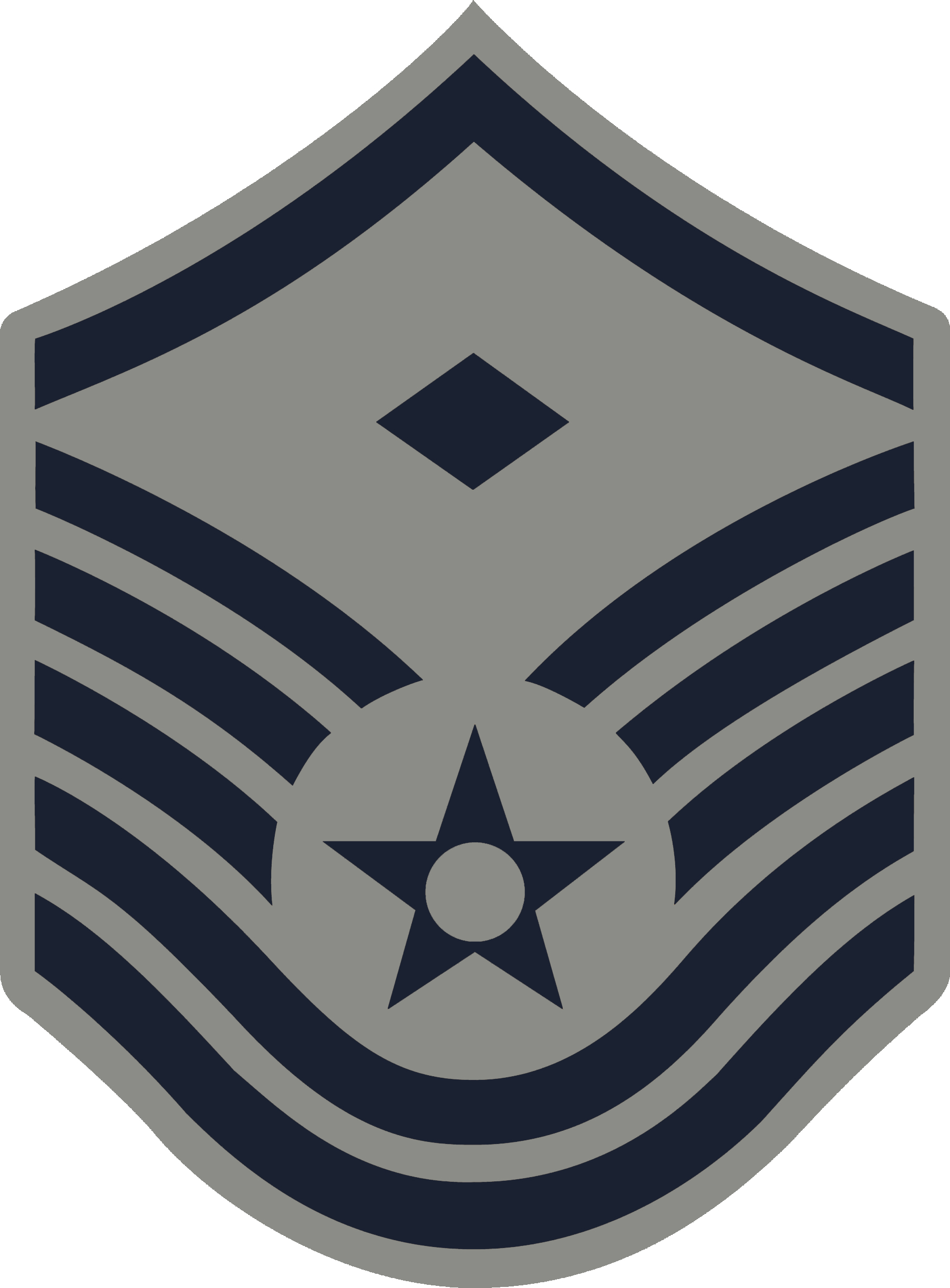 Yokota’s first sergeants host Diamond Mentoring Seminar > Yokota Air ...