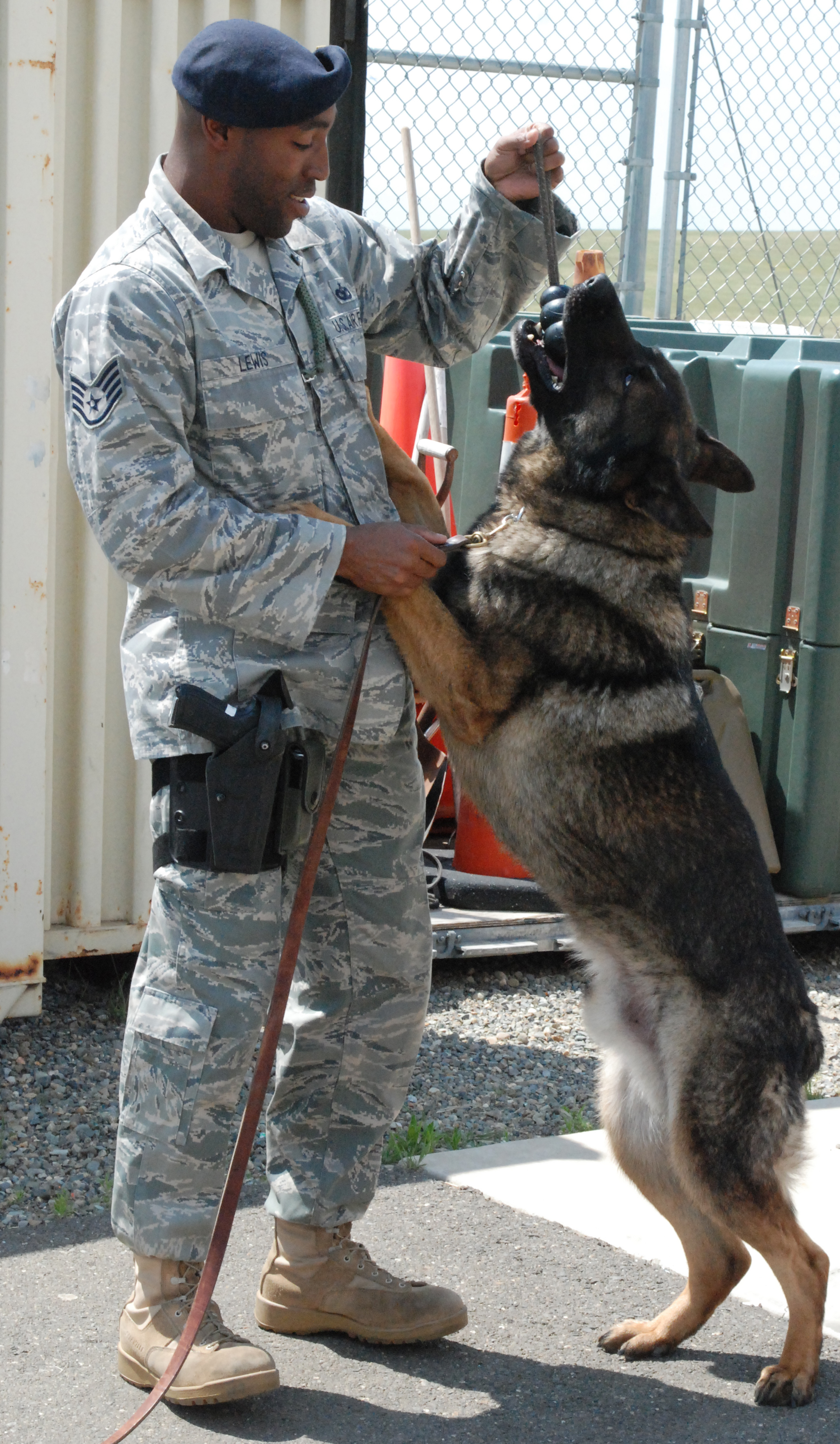 german shepherd attack command