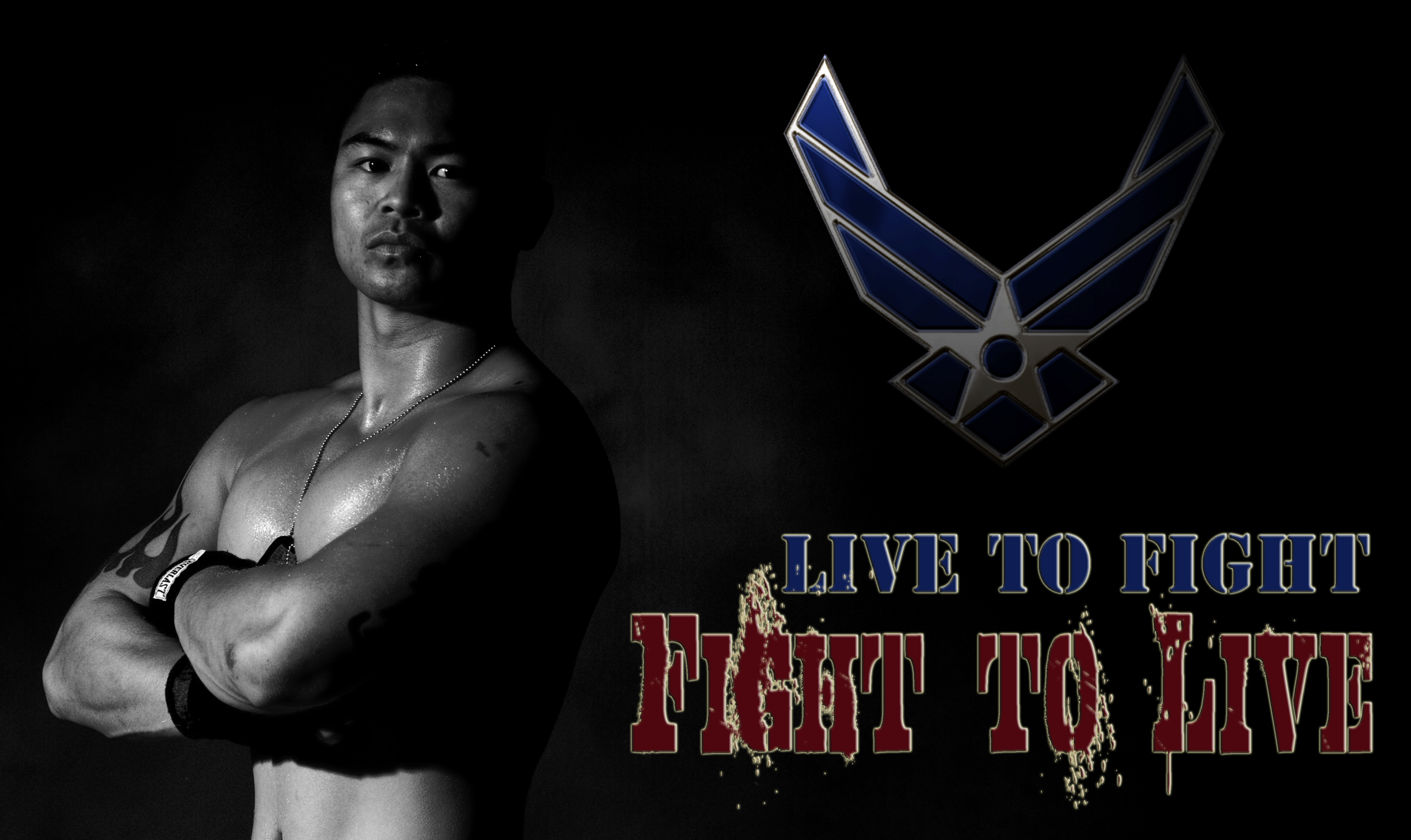 Incirlik Airman lives to fight, fights to live > Incirlik Air Base ...