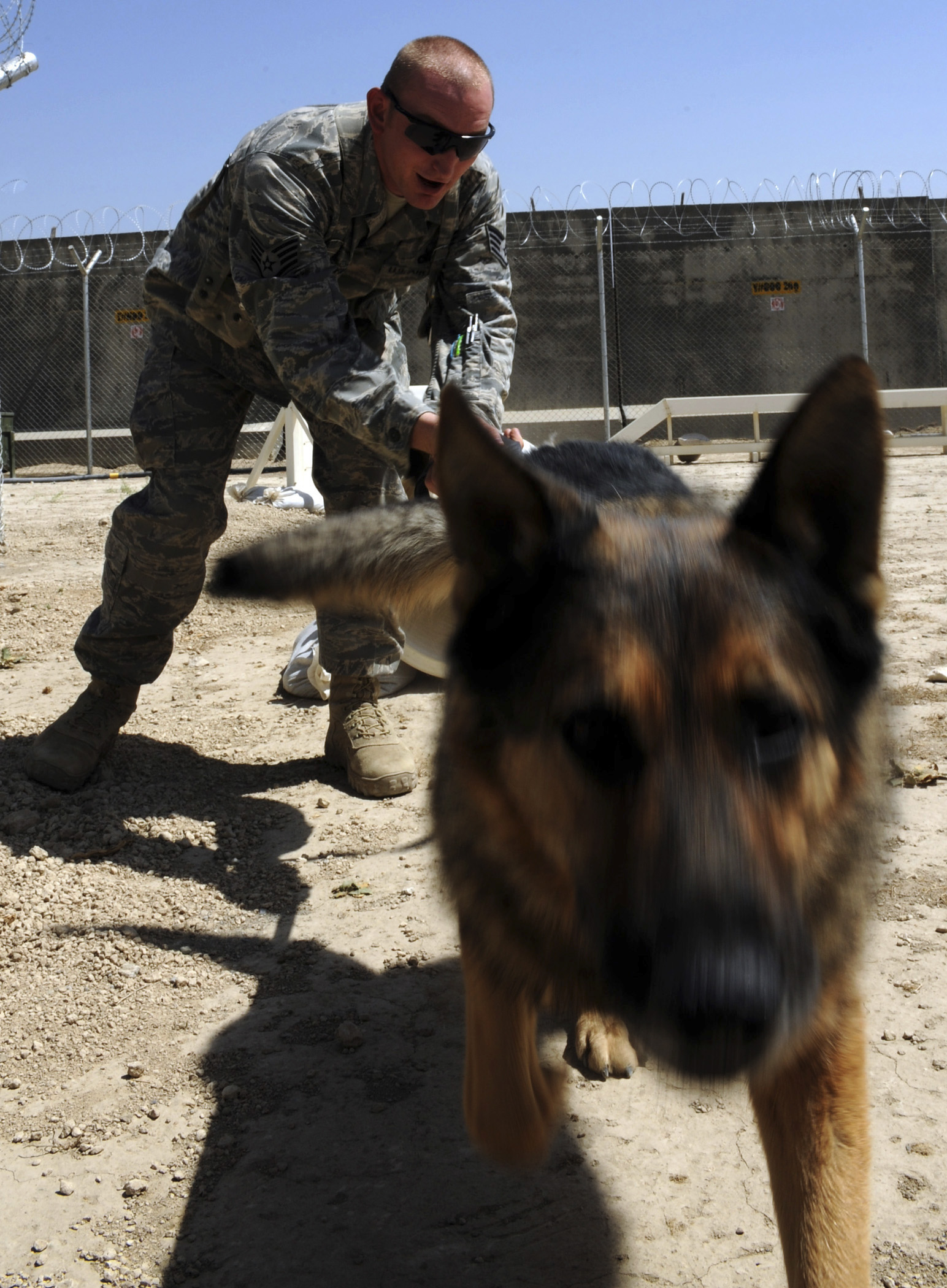Deployed defenders' dog days > U.S. Air Forces Central > News