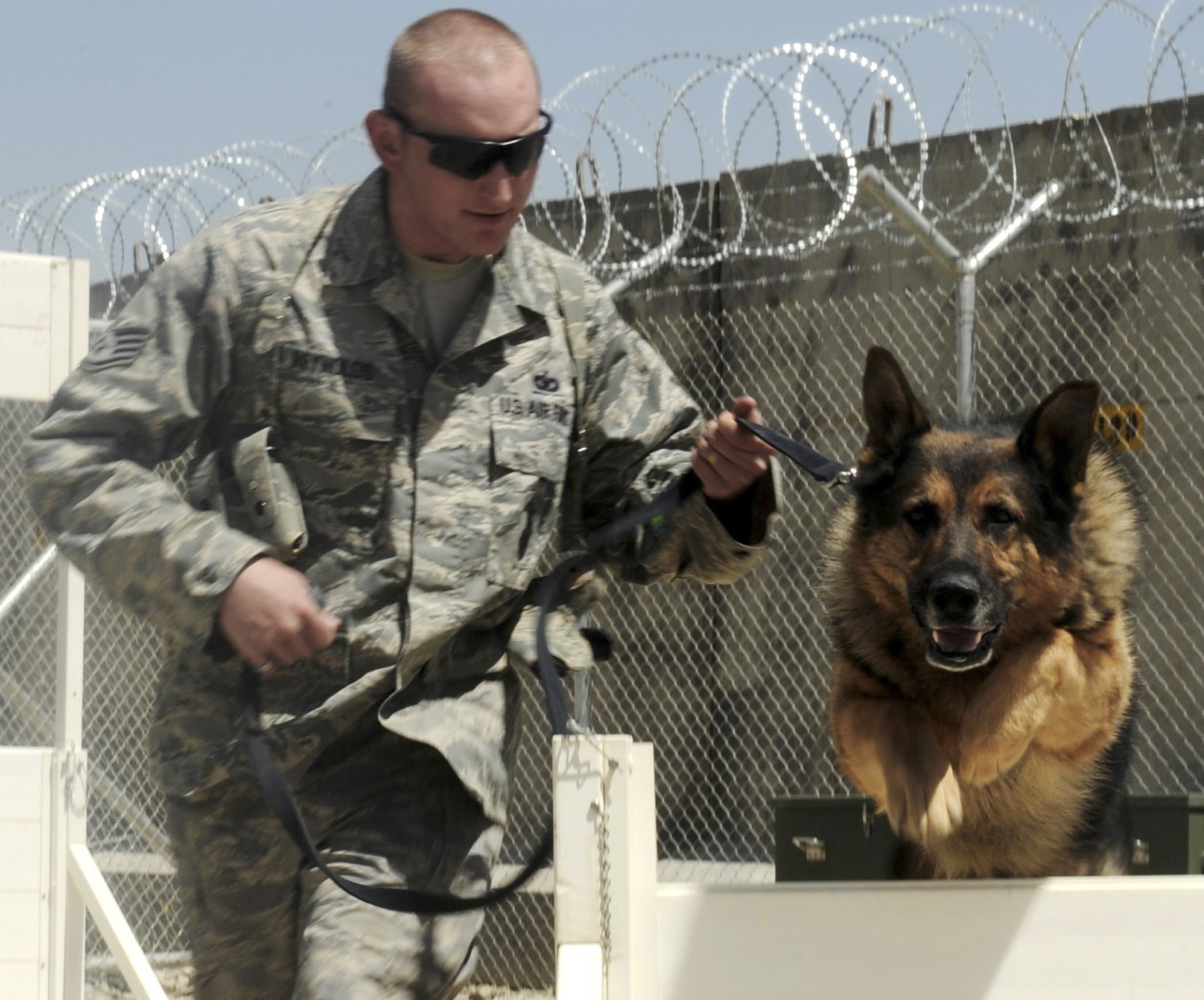 Dog days of summer > Air Force > Article Display