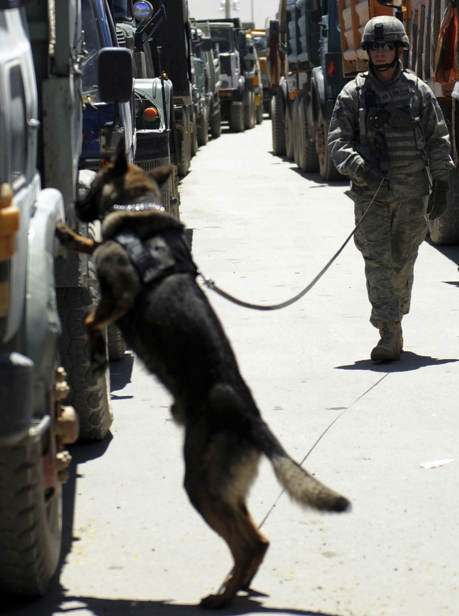 Deployed Defenders' Dog Days > Peterson and Schriever Space Force Base ...