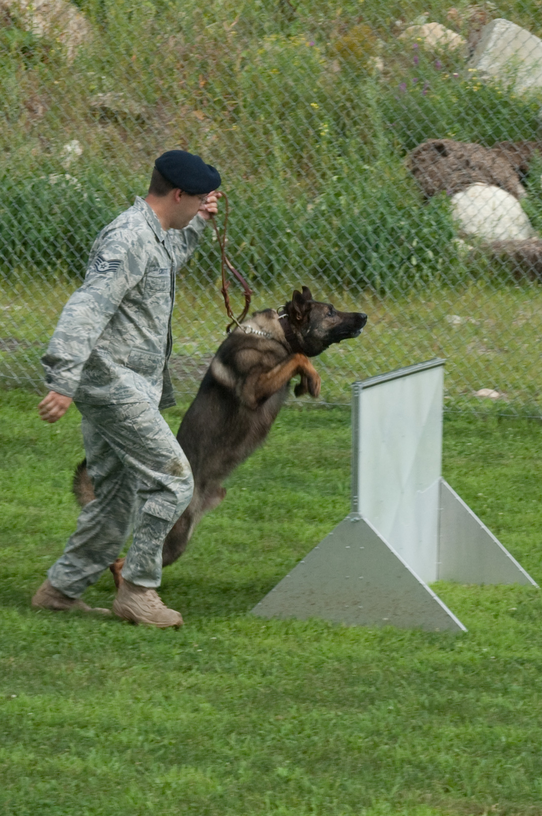 Dog days of August > Hanscom Air Force Base > Article Display