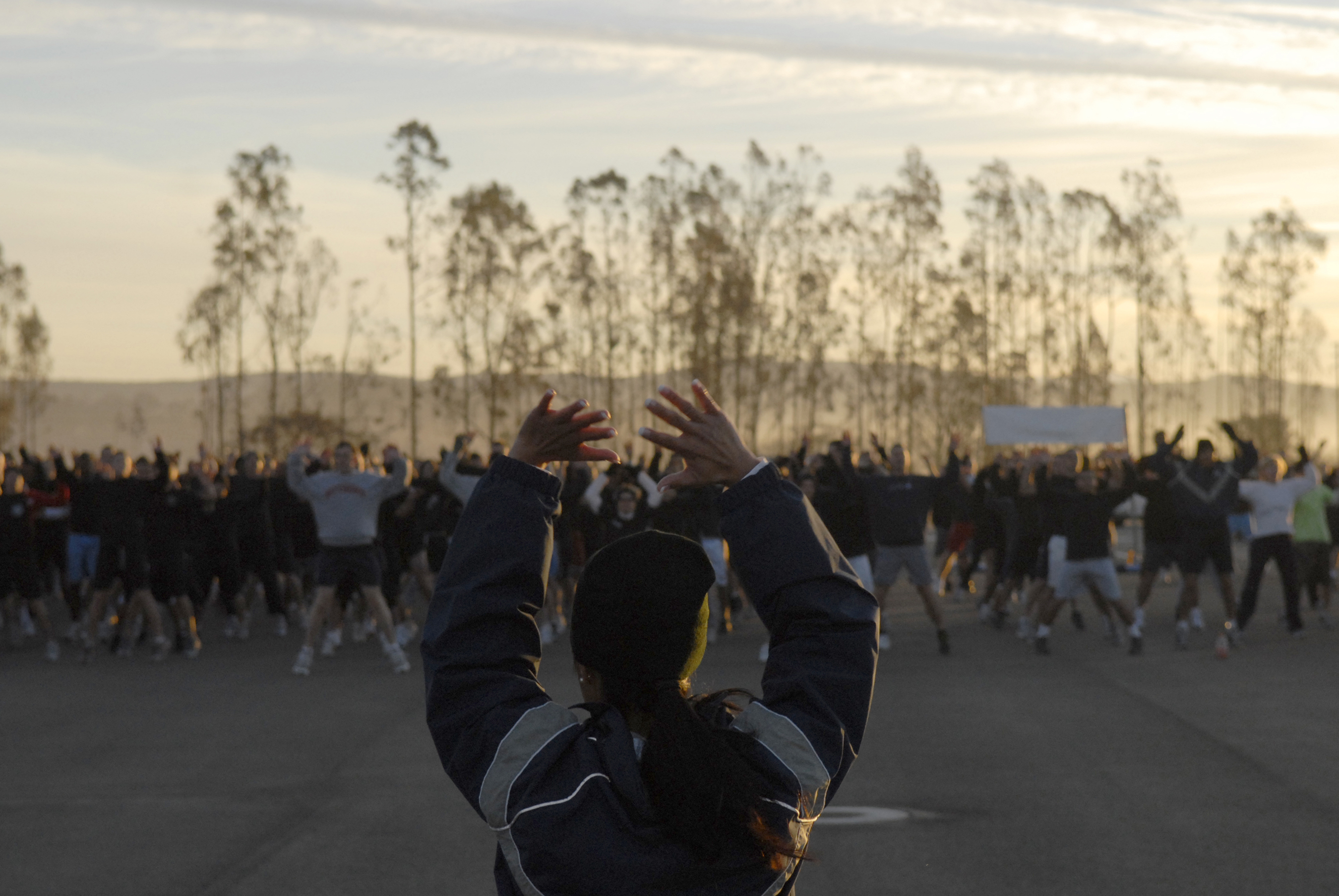 Running with Wingmen