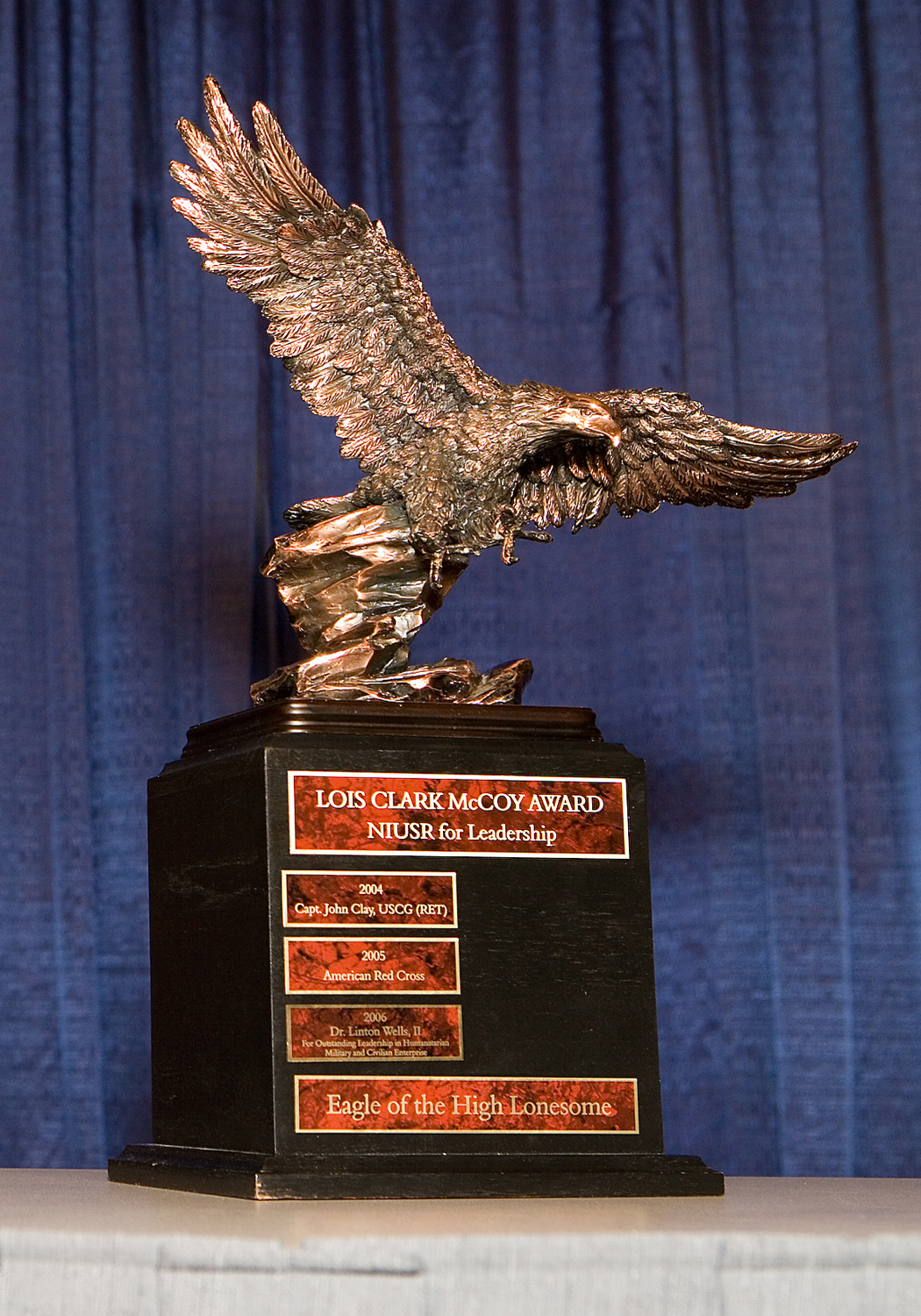 NORTHCOM/AFNORTH receives NIUSR Eagle award > Air Combat Command > News