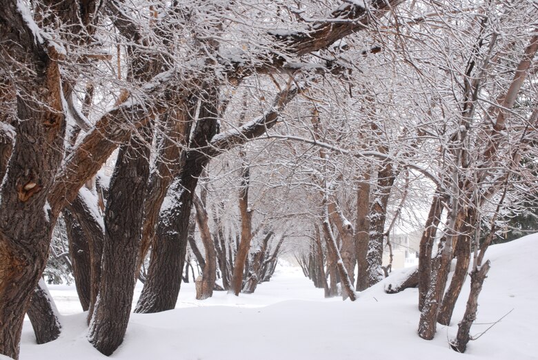 Despite Ice, wind, snow, 'Only the best come north' > Minot Air Force ...
