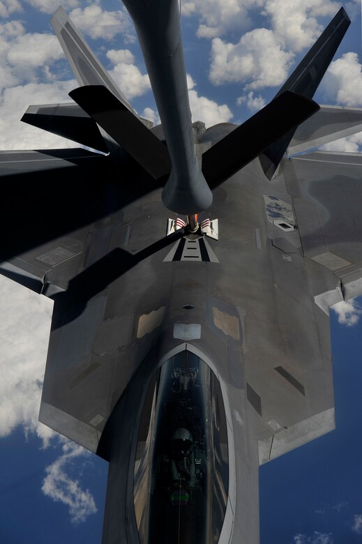 Kadena to host Meet the Raptor Day Jan. 30 > Joint Base Langley-Eustis ...