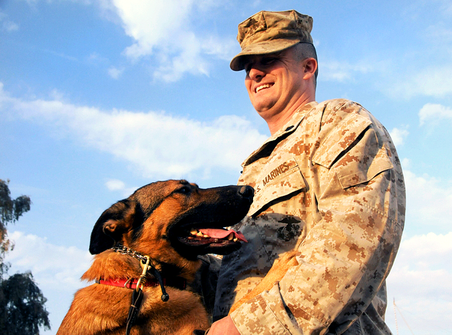 Marine Gunnery Sgt. Lucca, an explosive-detection dog, and U.S. Marine ...