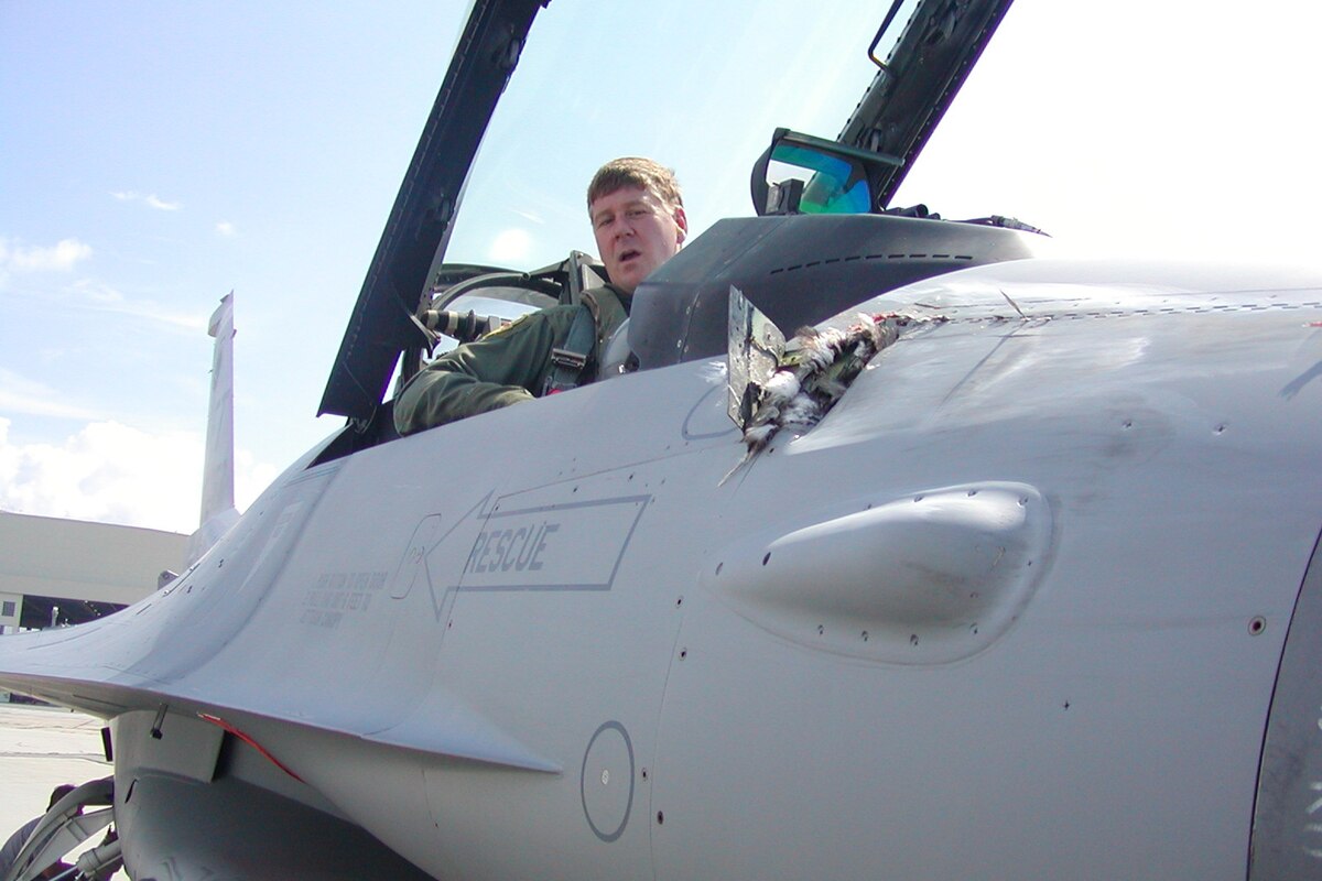 Cadets work to decrease bird strikes > Air Force > Article Display