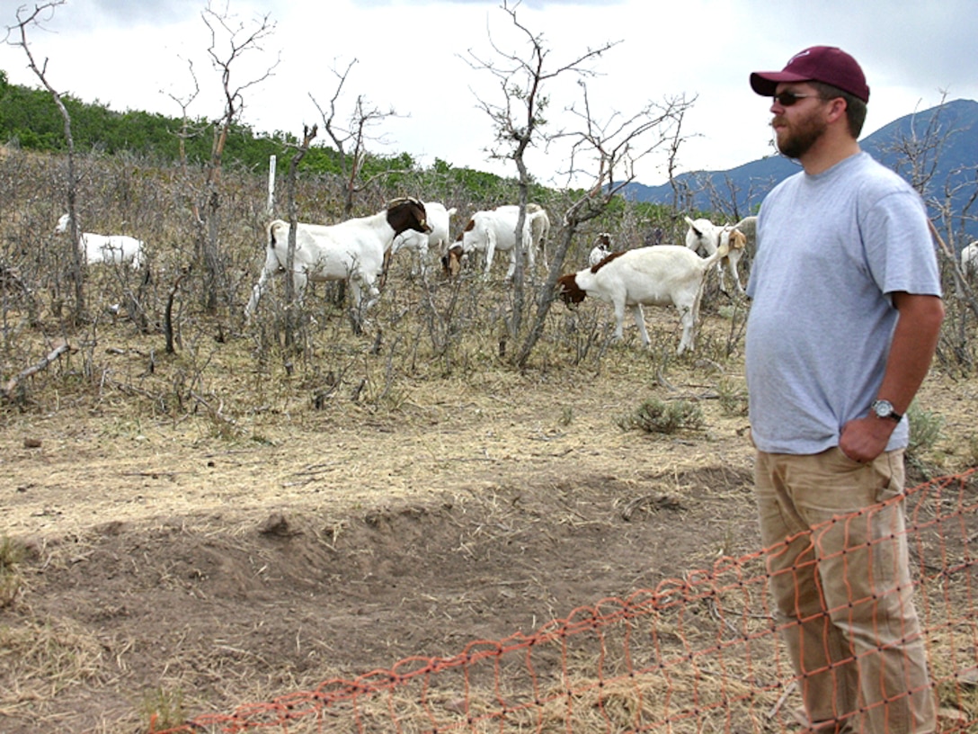 Jason Garn checks on his goats, which the Utah Army National Guard is ...