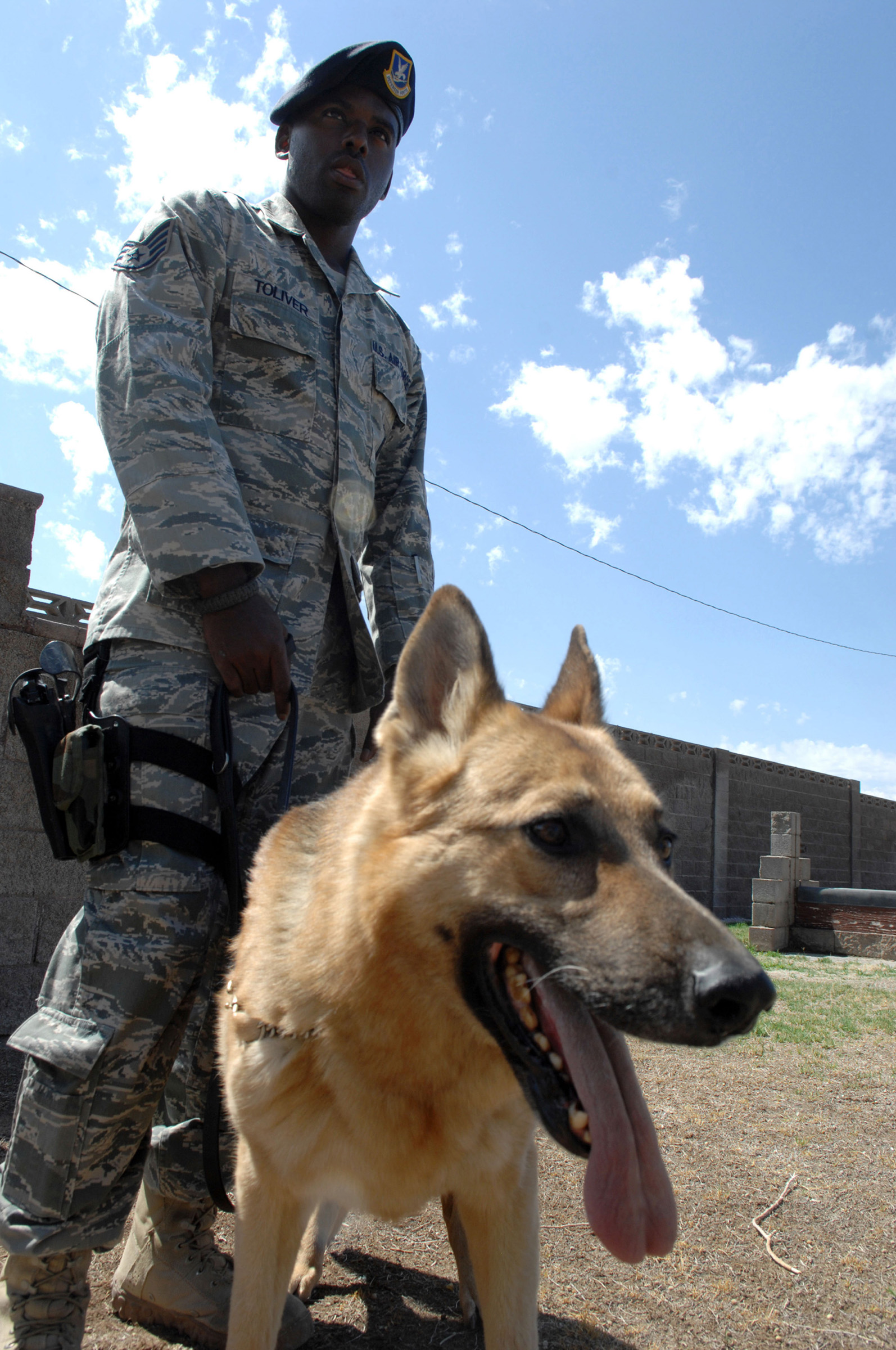 99th Security Forces military working dogs