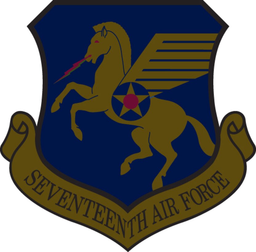 17th Air Force Shield (Camouflage)