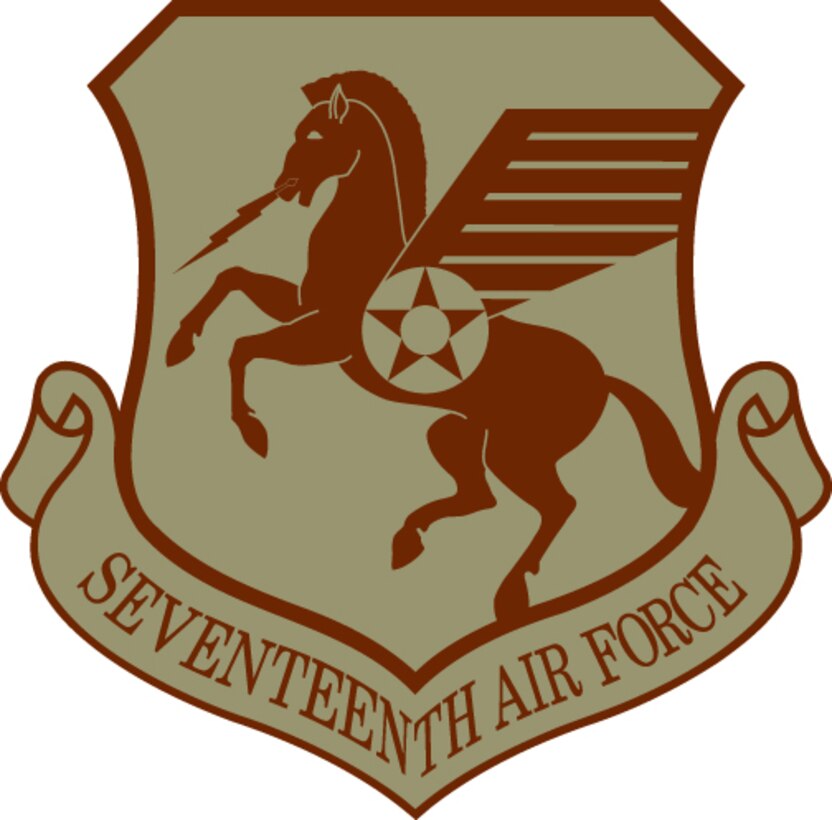 17th Air Force Shield (Desert)