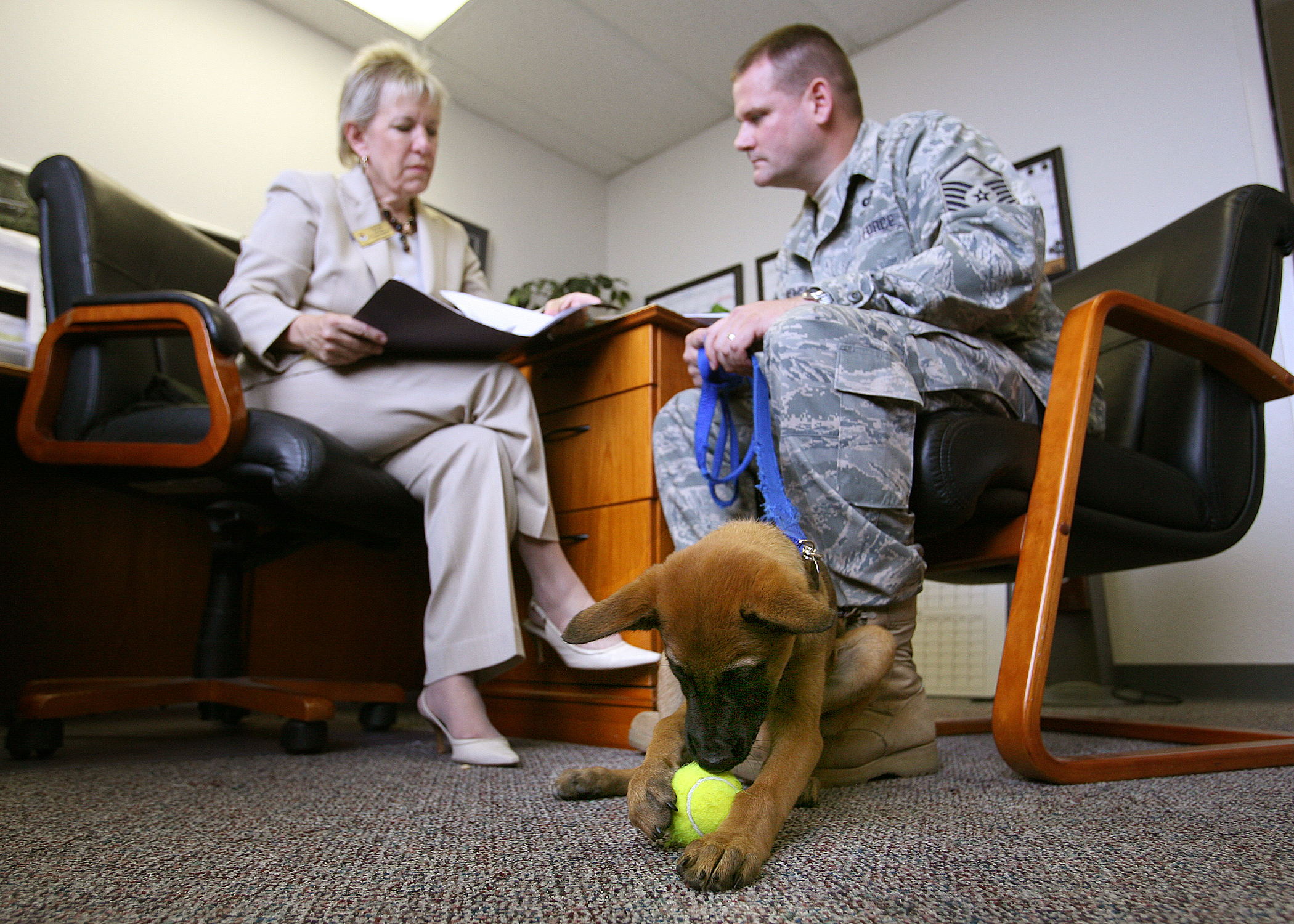 Flight becomes first foster unit to military working puppy > 33rd ...
